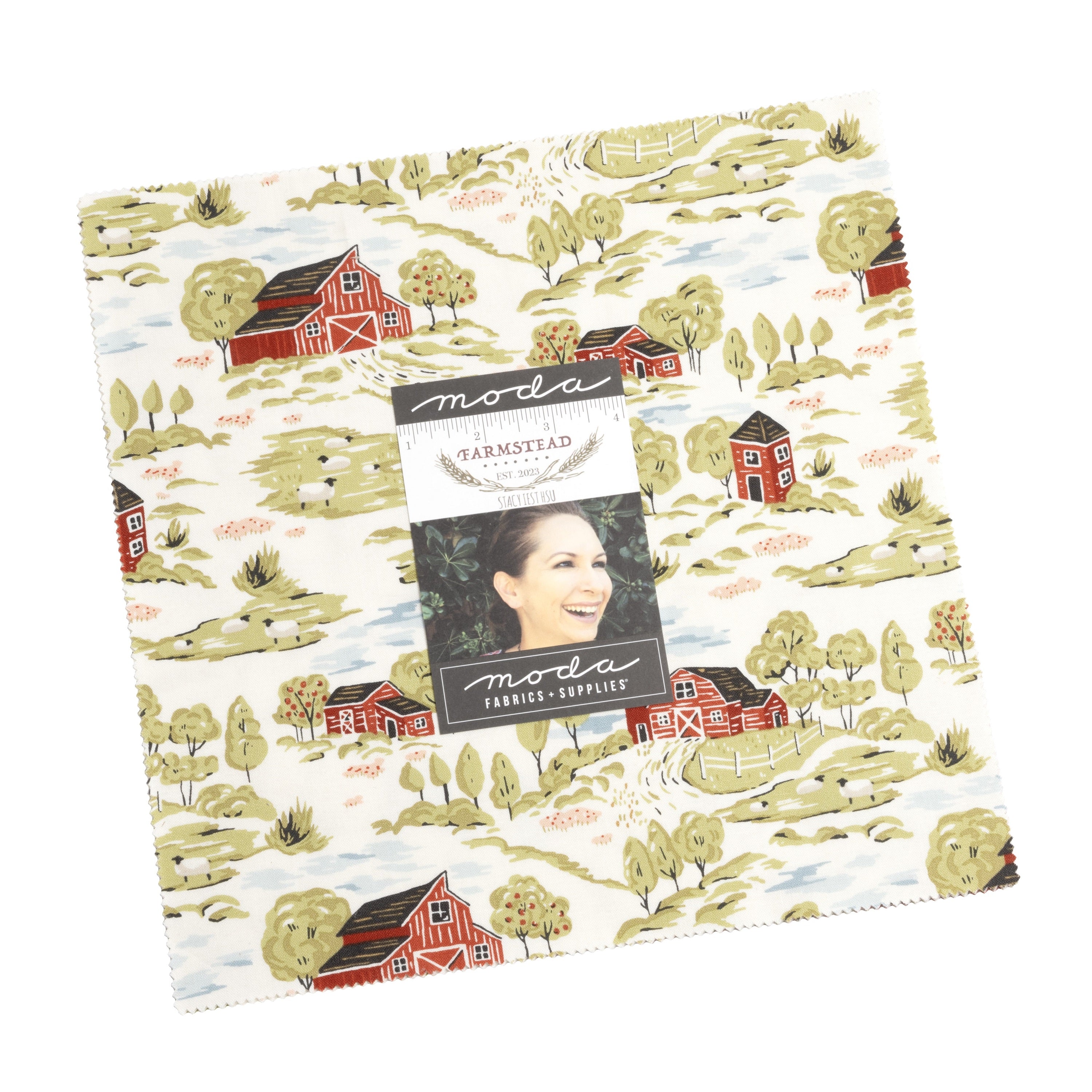 Farmstead by Stacy Iest Hsu for Moda - 10" Squares (Layer Cake) – Ohio ...